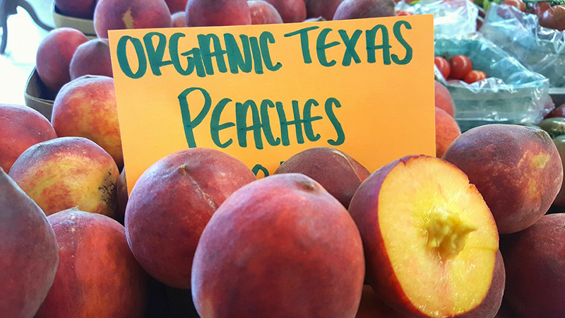 GRAPEVINE MARKET & GRAPEVINE FARMERS MARKET NOW OPEN Thursday, Friday ...