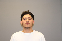 RECENT ARRESTS IN GRAPEVINE | Local News Only